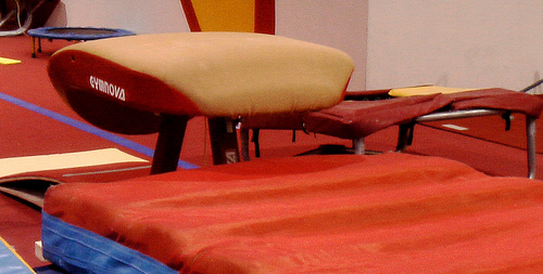 Gymnova-vault – Gymnastics Coaching.com