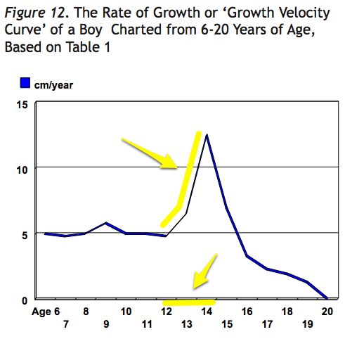 gymnasts are vulnerable to growth plate damage – Gymnastics Coaching.com