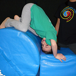 forward roll – Gymnastics Coaching.com