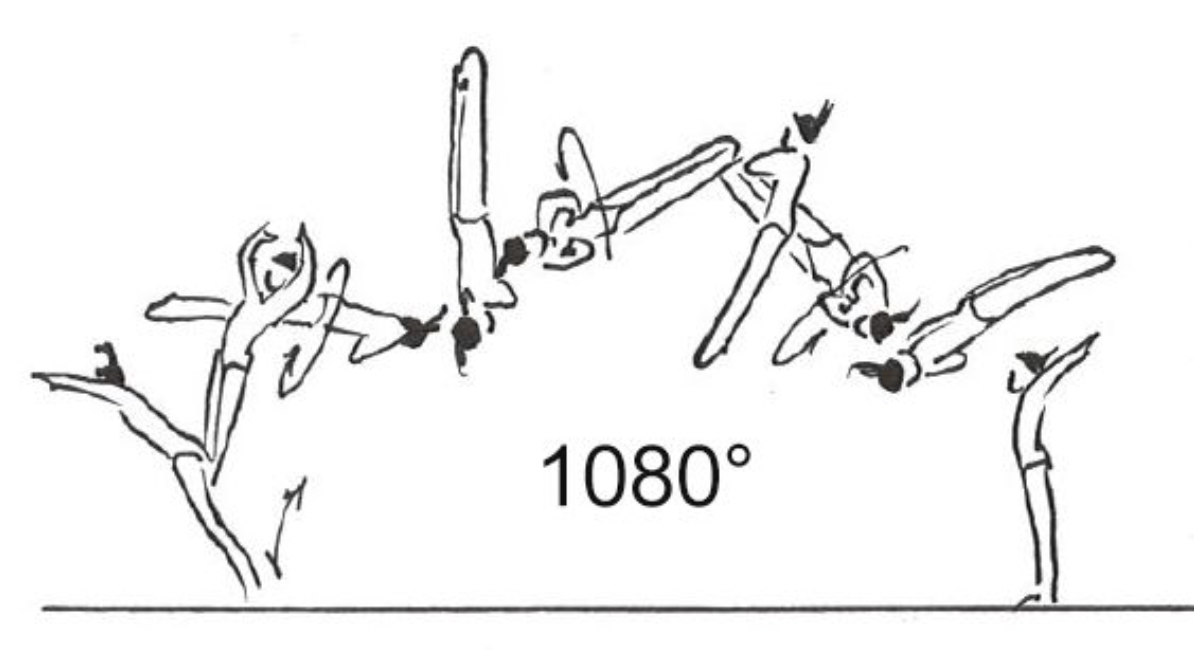 6 new WAG skills in Tokyo – Gymnastics Coaching.com